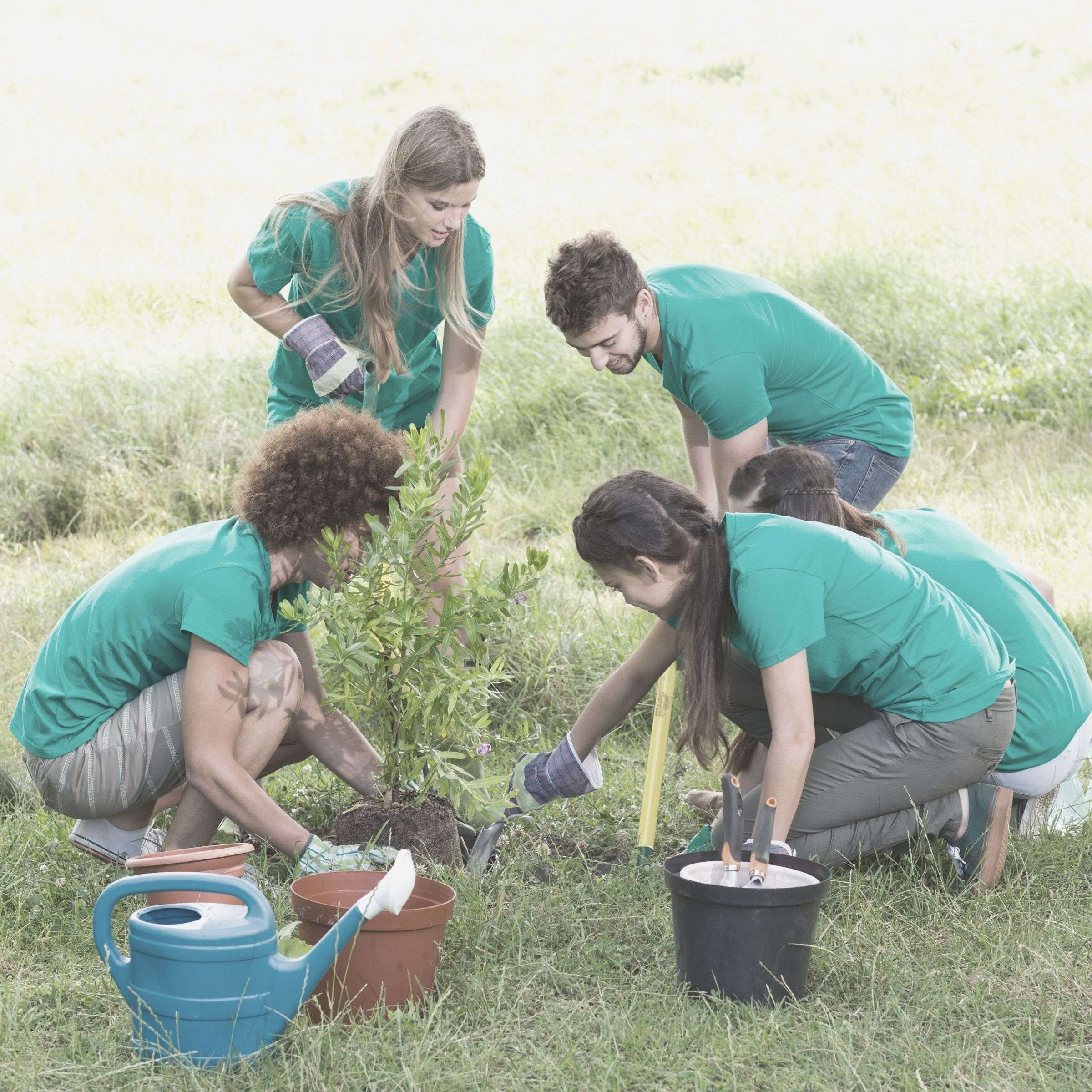 Modello and Homestead Gardens - Coach Training EDU